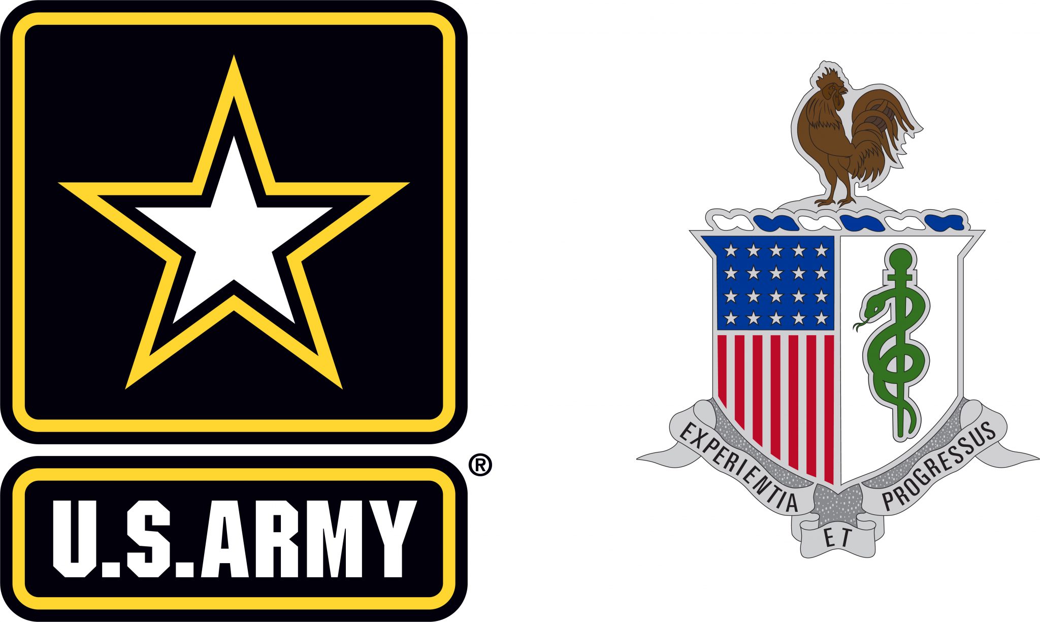 FallFest Home - AMSA FallFest